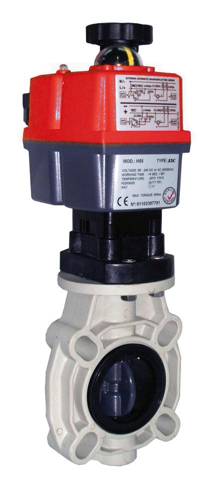 Productos y Servicios